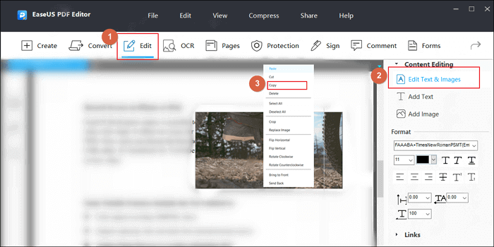 How To Copy Image From PDF Without Losing Quality EaseUS
